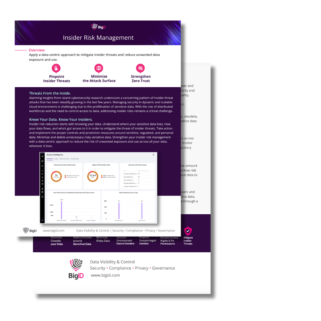 2023 Solution Brief: BigID for Insider Risk